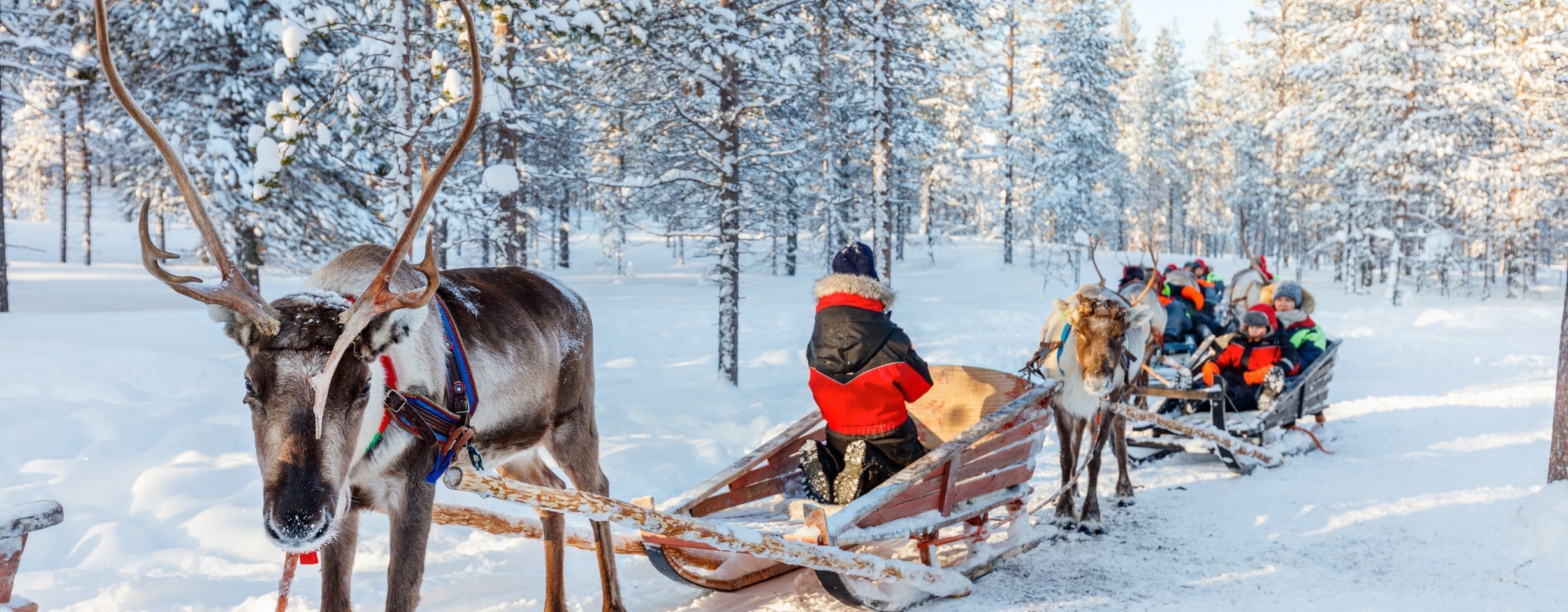 Partir Bien Équipé en Laponie ou dans le Grand Nord Canada, Québec ...